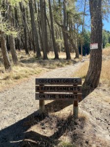 Mt John Summit Circuit Track Tekapo – Niki in New Zealand