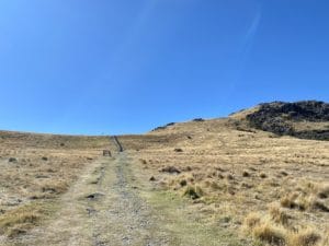 Mt John Summit Circuit Track Tekapo – Niki in New Zealand