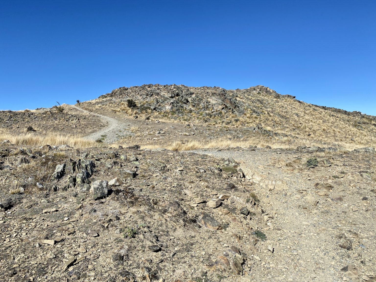 Mt John Summit Circuit Track Tekapo – Niki in New Zealand