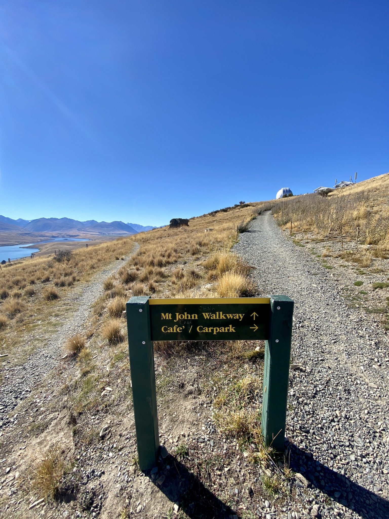 Mt John Summit Circuit Track Tekapo – Niki in New Zealand