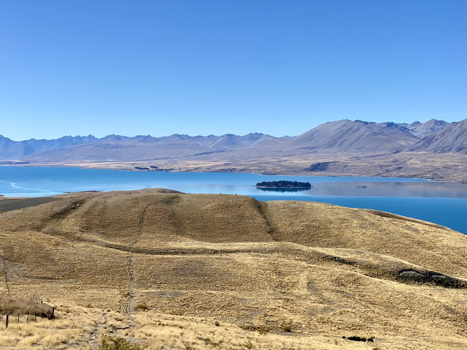 Mt John Summit Circuit Track Tekapo – Niki in New Zealand
