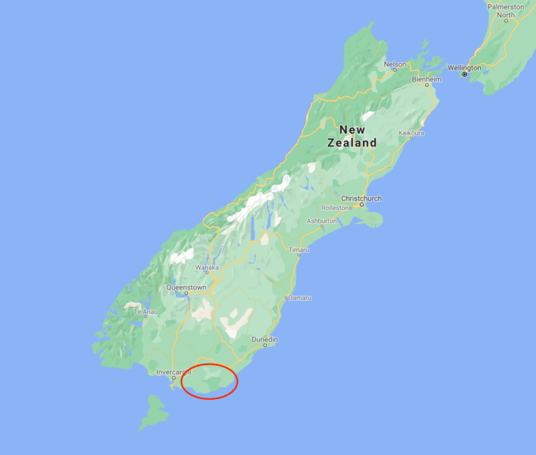 Catlins Road Trip Itinerary: 3 Days in New Zealand's Most Underrated Area