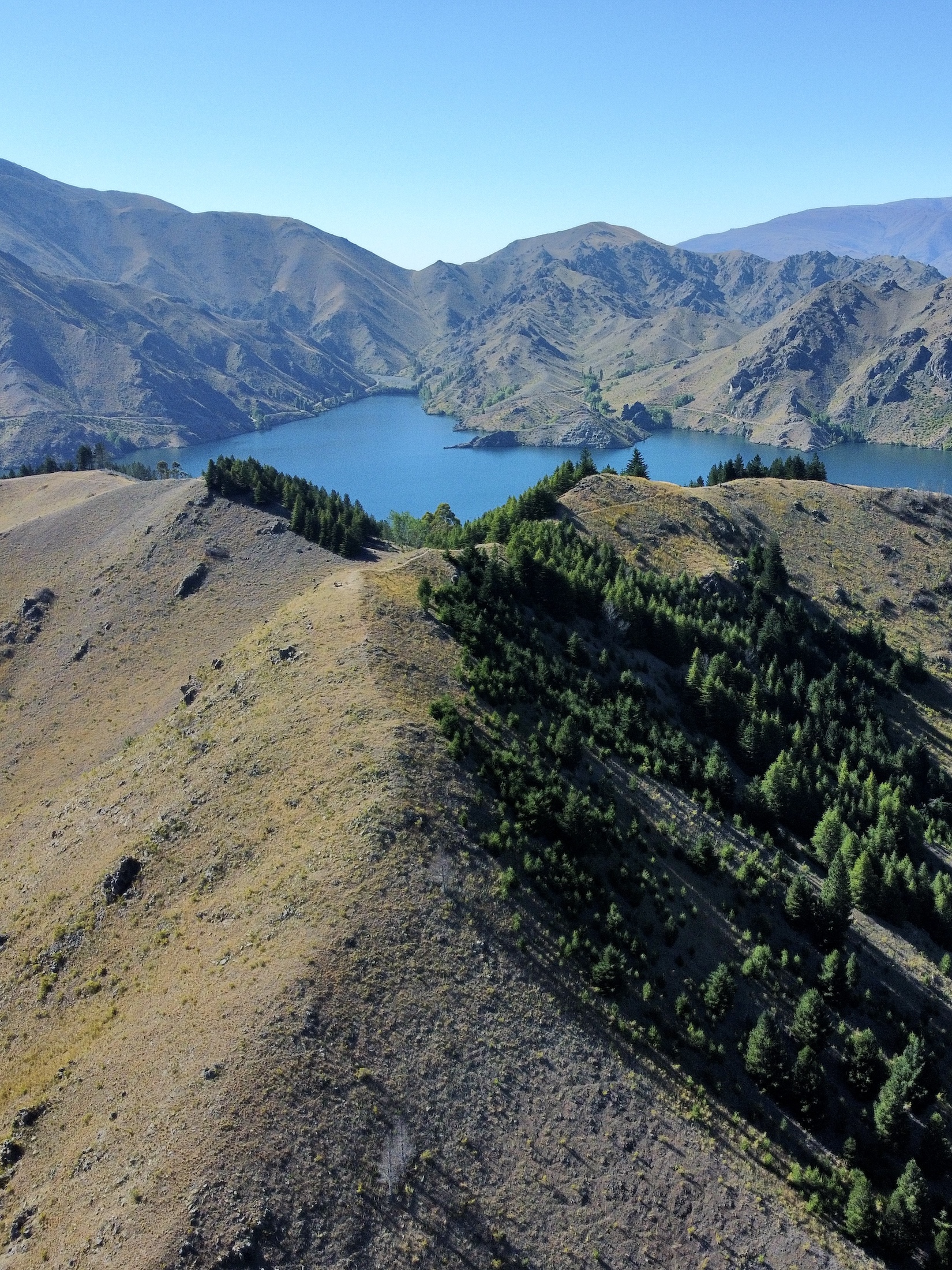 Hiking the Lake Benmore Peninsula Track in Otematata