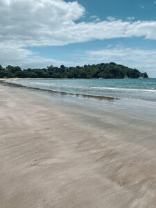 The Best Waiheke Island Beaches: A Fantastic Day Trip from Auckland