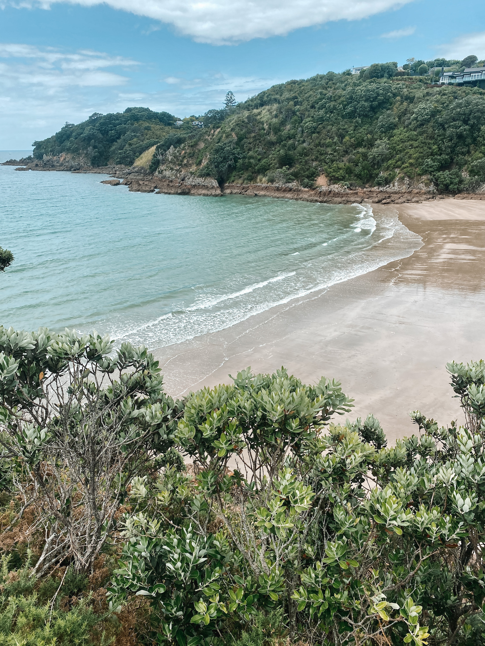 The Best Waiheke Island Beaches: A Fantastic Day Trip from Auckland