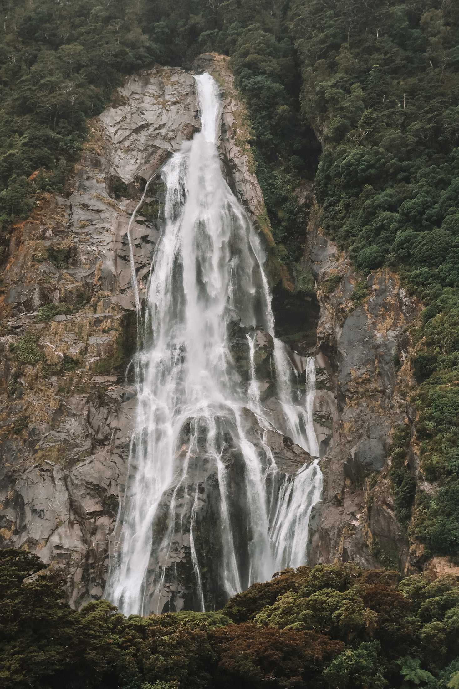14 Best Things to Do in Milford Sound: First Timer's Guide